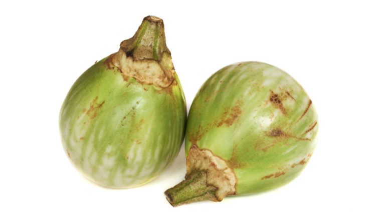 SAYUR TERONG | IMAGELICIOUS