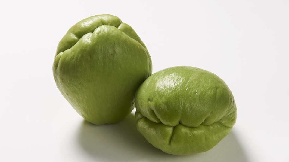 LABU SIAM | IMAGELICIOUS